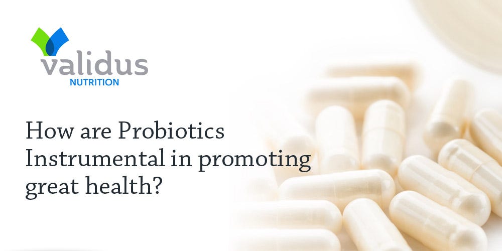 How are Probiotics instrumental in promoting great health? | by validus ...
