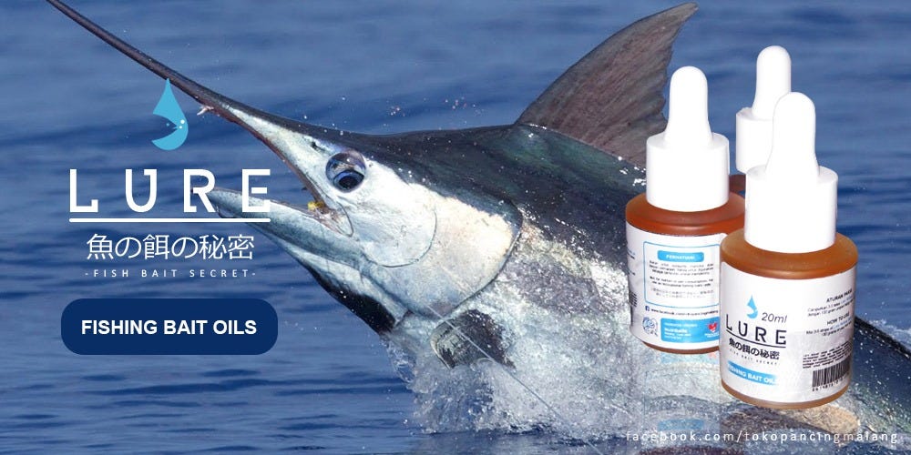 PROMO, Call 0895360148824, Distributor Essen Ikan Mas yang bagus | by ...
