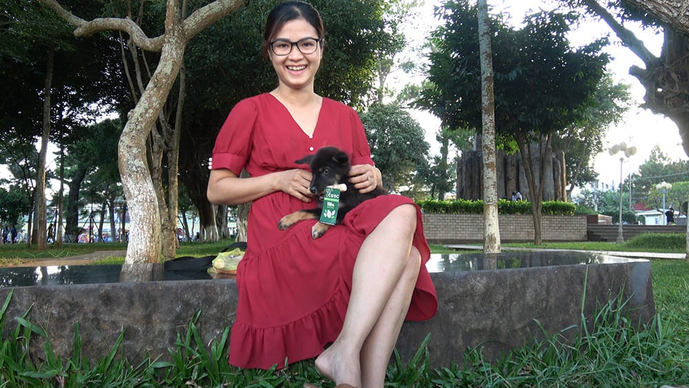 Coffee wood dog chew UK. Coffee wood chew is becoming one of the… | by Coffee Wood Chew (CWDC ...