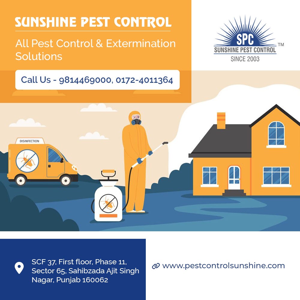 Pest Control And Extermination Services - Sunshine Pest Control(Mr ...