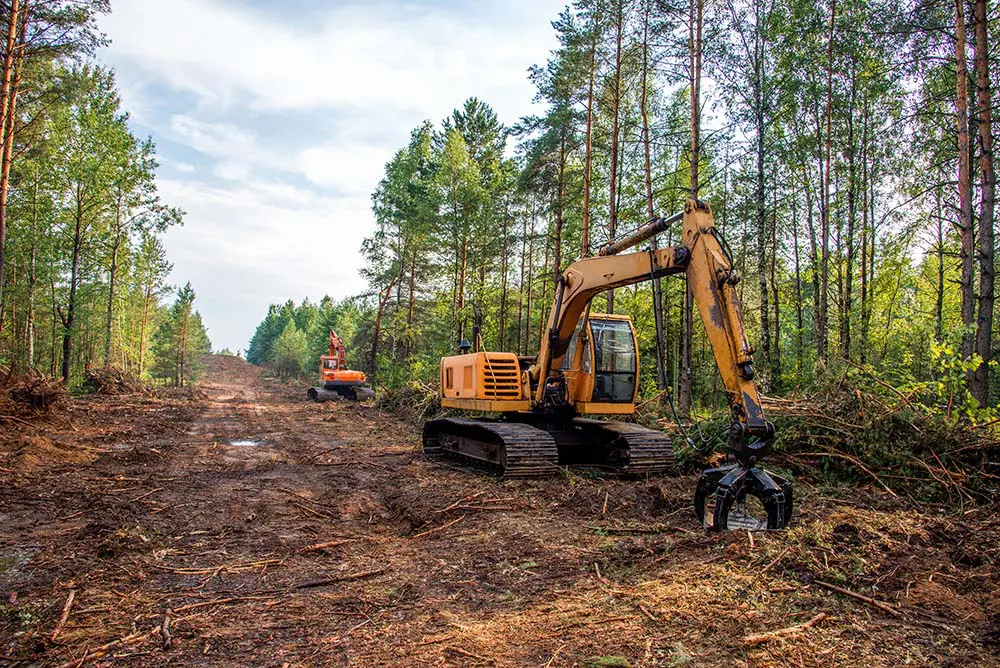 Clearing Tree | Right Way Forestry Clearing - Rightway Forestry ...