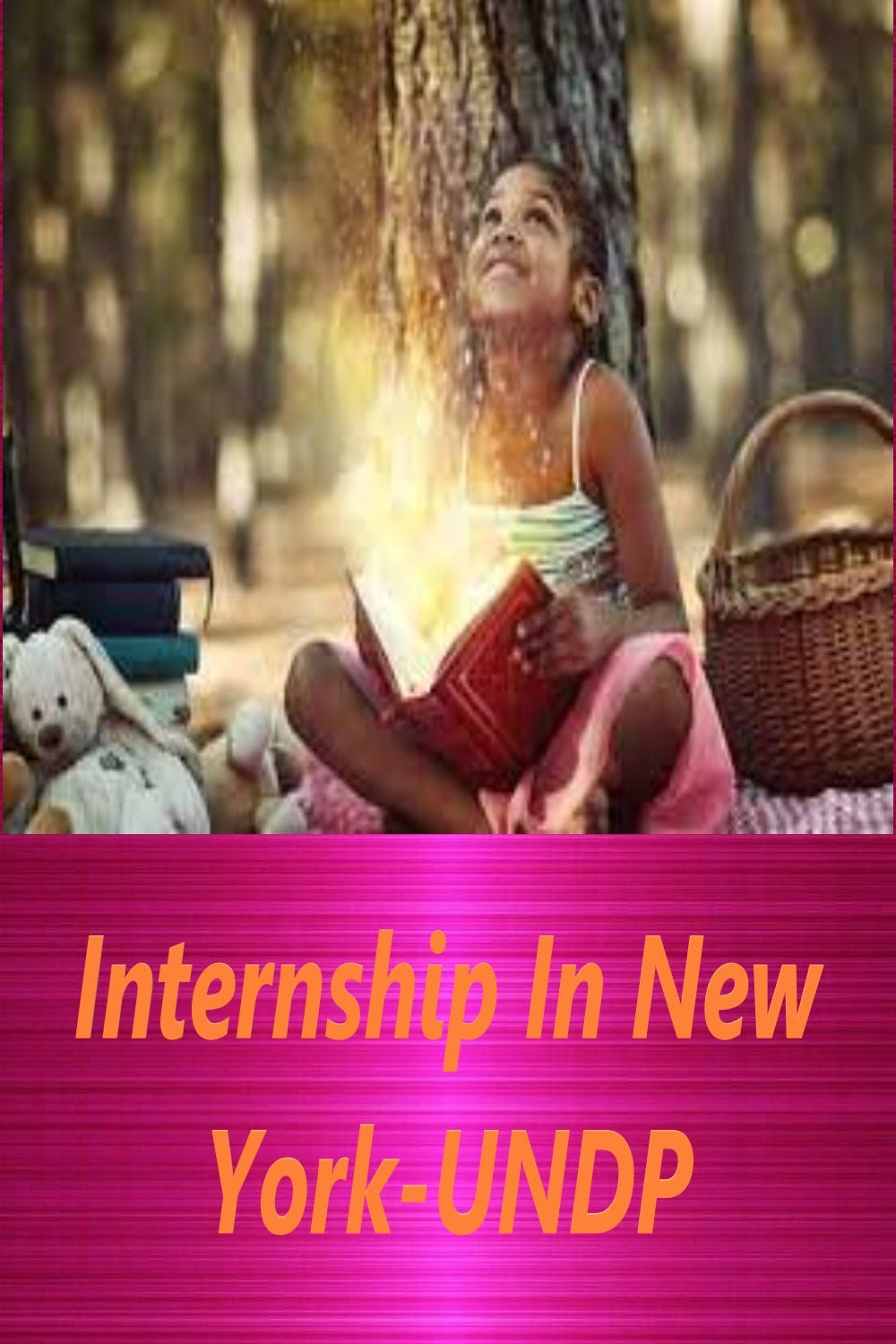 Internship In New York-(UNDP) United Nations Development Program - Anni Mulro - Medium