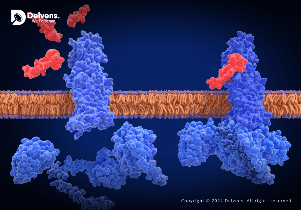 GLP-1 Receptor Agonist Market Research Report: 2023–2030 Outlook | by ...
