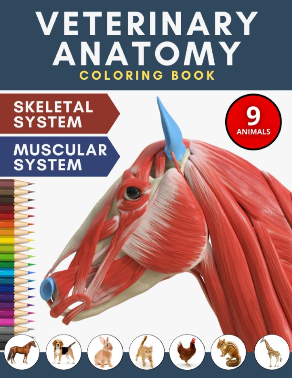 [EBOOK][BEST]} Veterinary Anatomy Coloring Book: Incredibly Detailed 9 ...