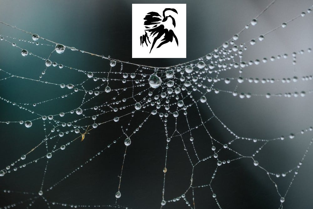 Concepts Of Web Scraping With Python Requests And Beautiful Soup — Part