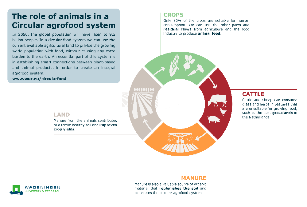 Dutch Box of Well Being Economy over the Food and Agriculture Perspective into an digital Icon ...