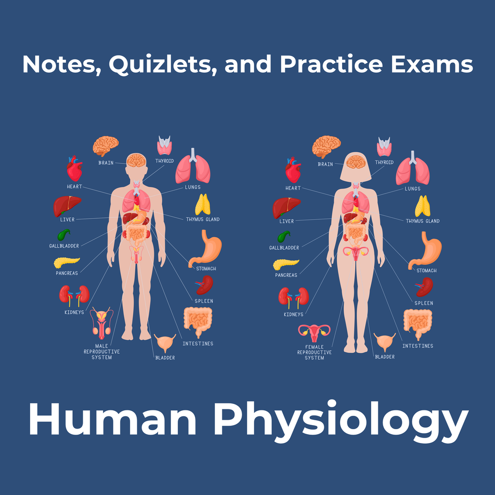 Human Physiology Online | Sciencesuperman.com - Sciencesuperman - Medium