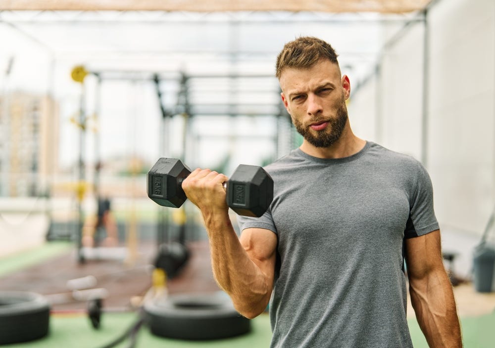 The Lethal Gentleman Physique: Standards and Training for Elite Male ...