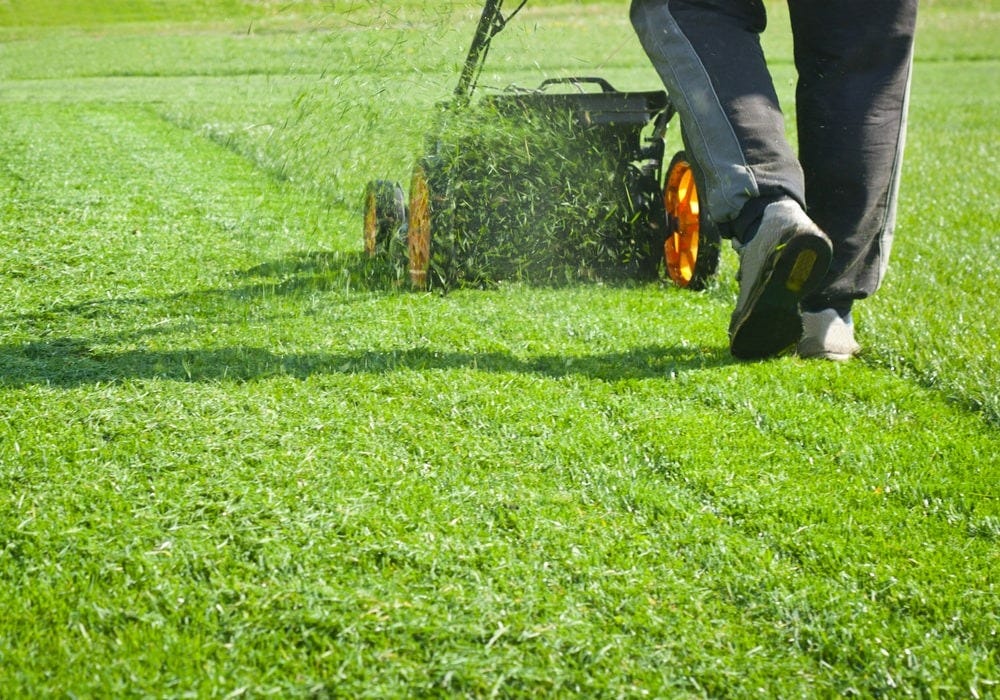 Effective Lawn and Fertilizer Services - Organic Solutions! Inc. - Medium