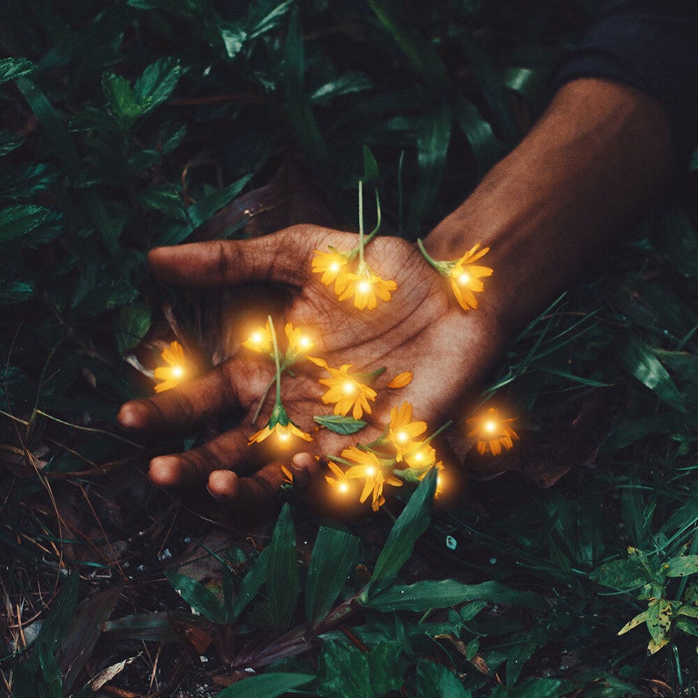 HEALING. The irony of healing is that it… | by TMDC | Medium
