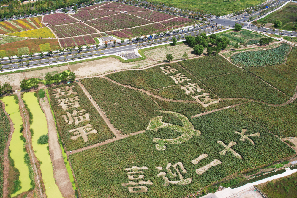 From 2019 to 2021, Chinese ownership of U.S. agricultural land jumped ...