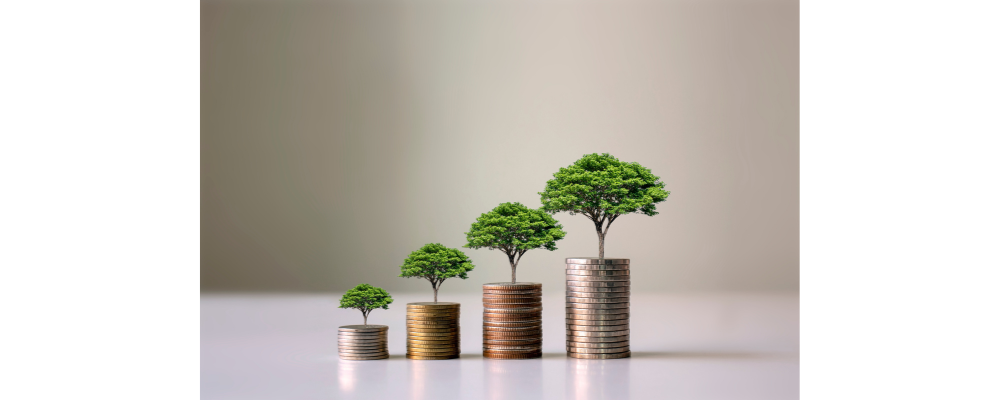 Investing 101: a beginner’s guide to grow your wealth | by Personal ...