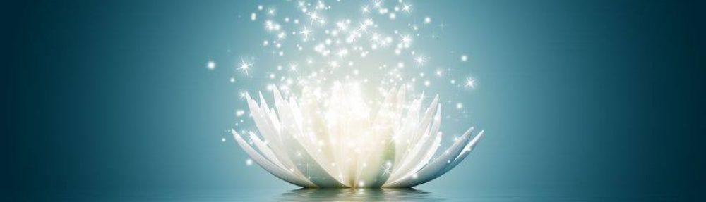 The Evolution of Beingness. An Unsolicited Life Manual | by John ...
