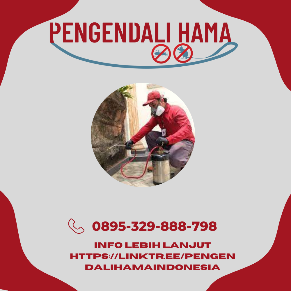 AHLINYA, Call/Wa 0895–329–888–798, Spesialis Pembasmi Rayap Banten ...