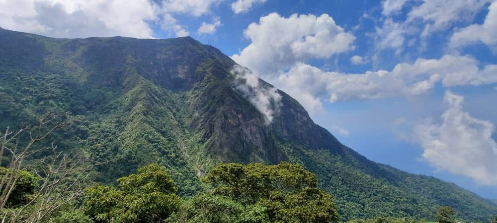 Equinoccio de Otoño en la Constelación de Virgo bajo la Influencia de Ceres y el Cometa ...
