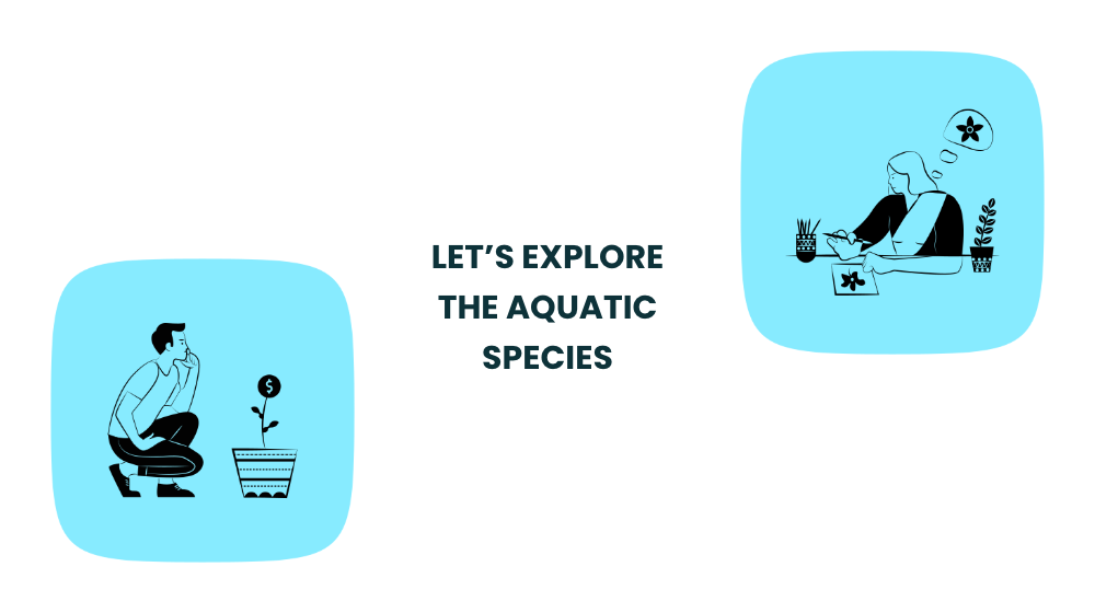Wondering how to go beyond surface-level skills in UX? | by Ishita ...