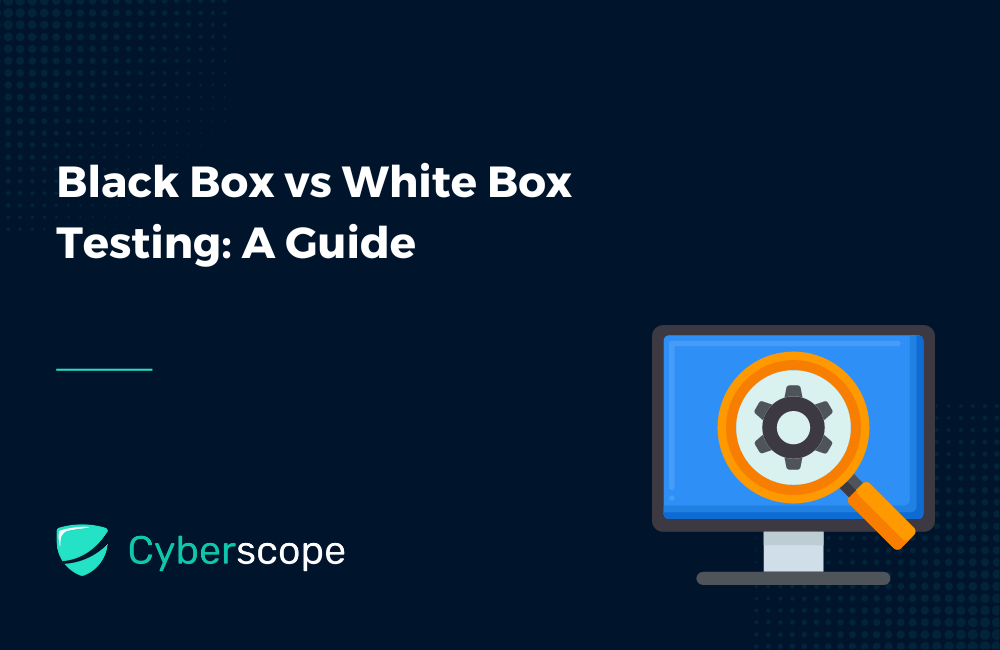 Black Box vs White Box Testing: A Guide | by Cyberscope | Coinmonks ...