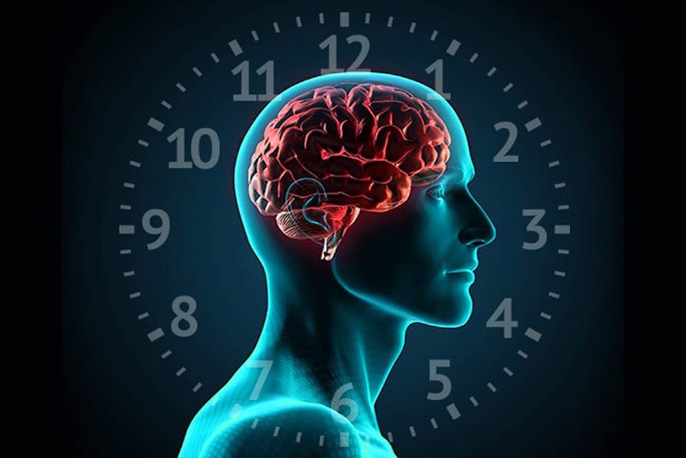 Circadian rhythm. The importance of light stimulus | by Sven ...
