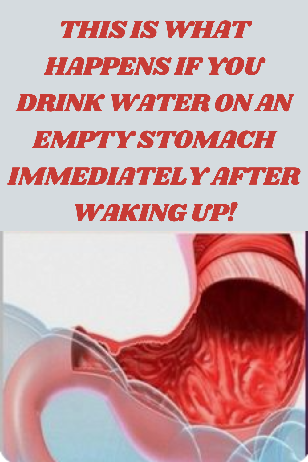 This Is What Happens If You Drink Water On An Empty Stomach Immediately After Waking Up! - Paula ...