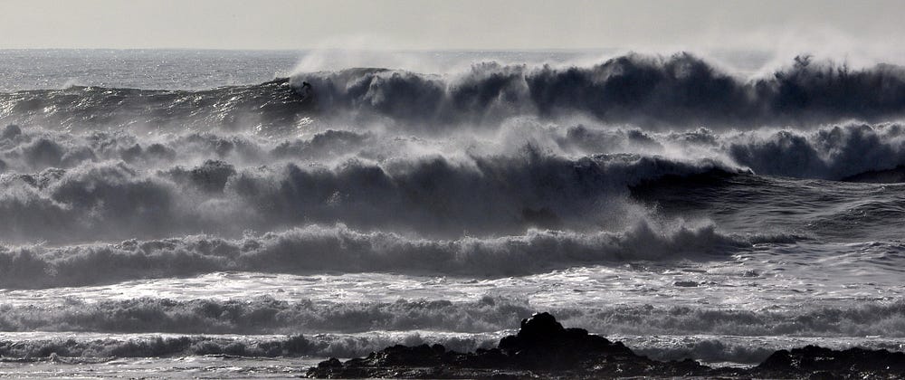 Where will you be when the populist tsunami makes landfall? | by Chikodi Chima | Medium