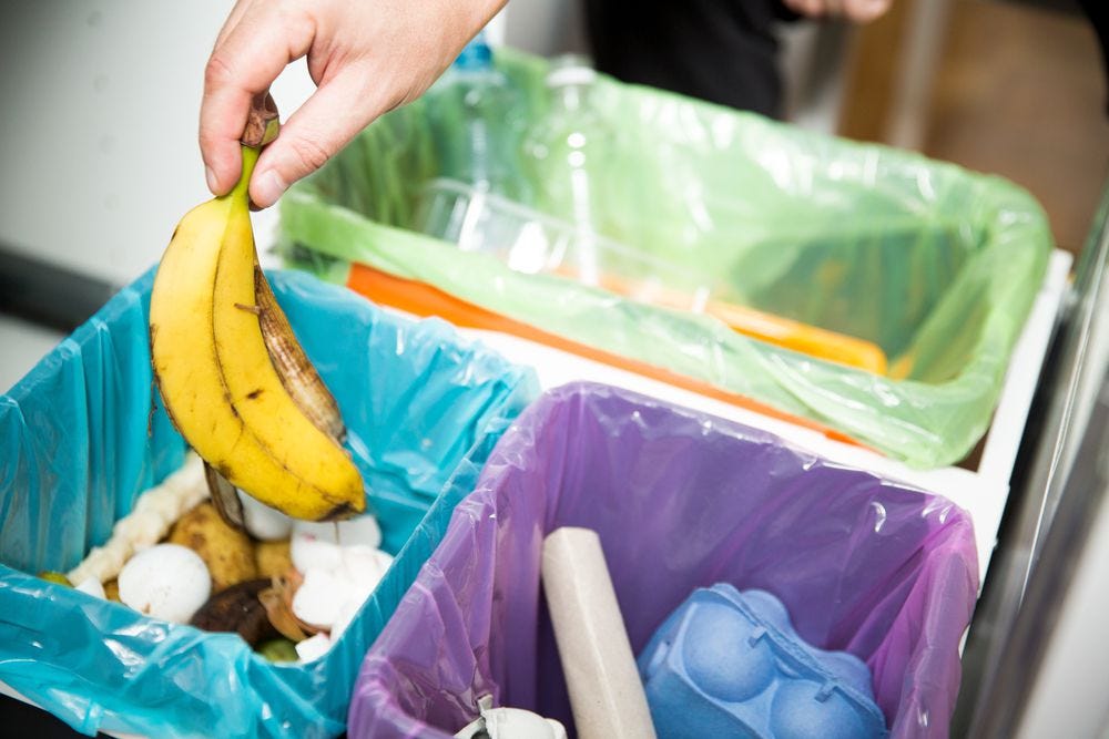 Cara Memilah Sampah Organik dengan Lebih Efisien, Langkah-langkah dan ...