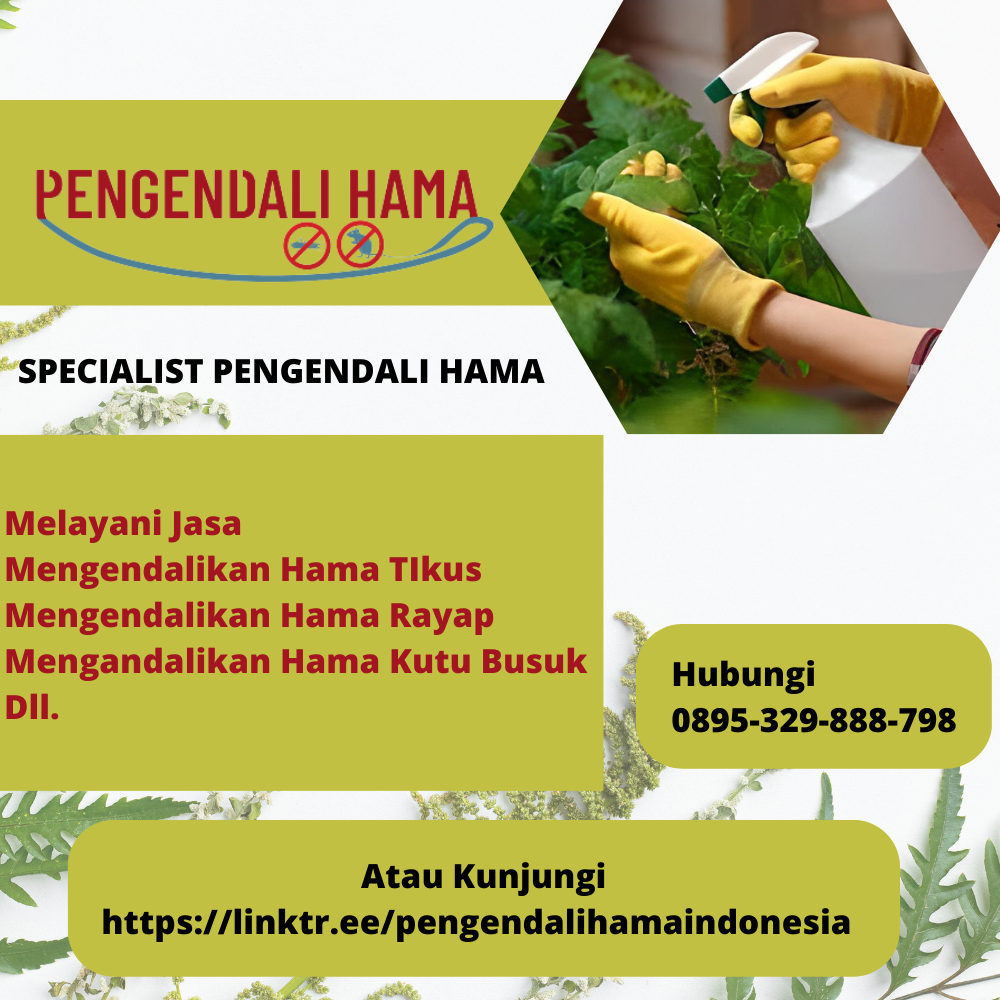 Specialist Pengendali Hama - Jasapengendalihama - Medium