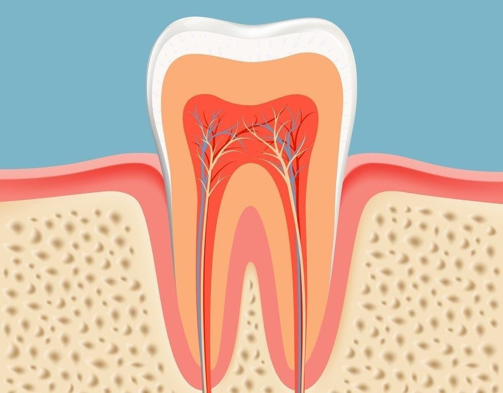 Root Canal DubaiNatural Remedies and Supplements for Root Canal ...