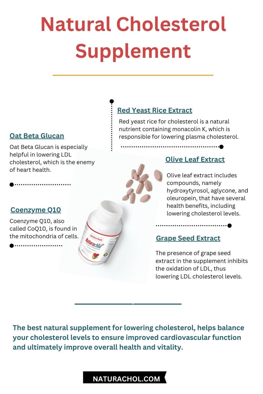 Natural Cholesterol Lowering Supplement — Naturachol - Natura Chol - Medium