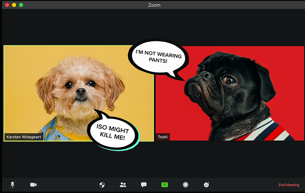 Zoom Etiquette. With Zoom meetings now apart of our… | by Shaun James ...