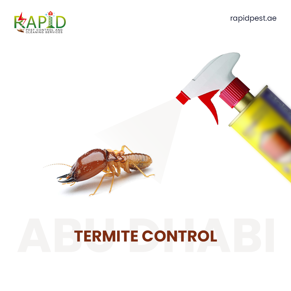 Termite Control Abu Dhabi | Rapid Pest - Arunimars - Medium