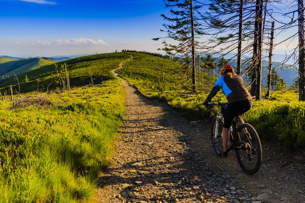 Eco-Friendly Rides: The Impact of Cycling on the Environment | by Seth ...