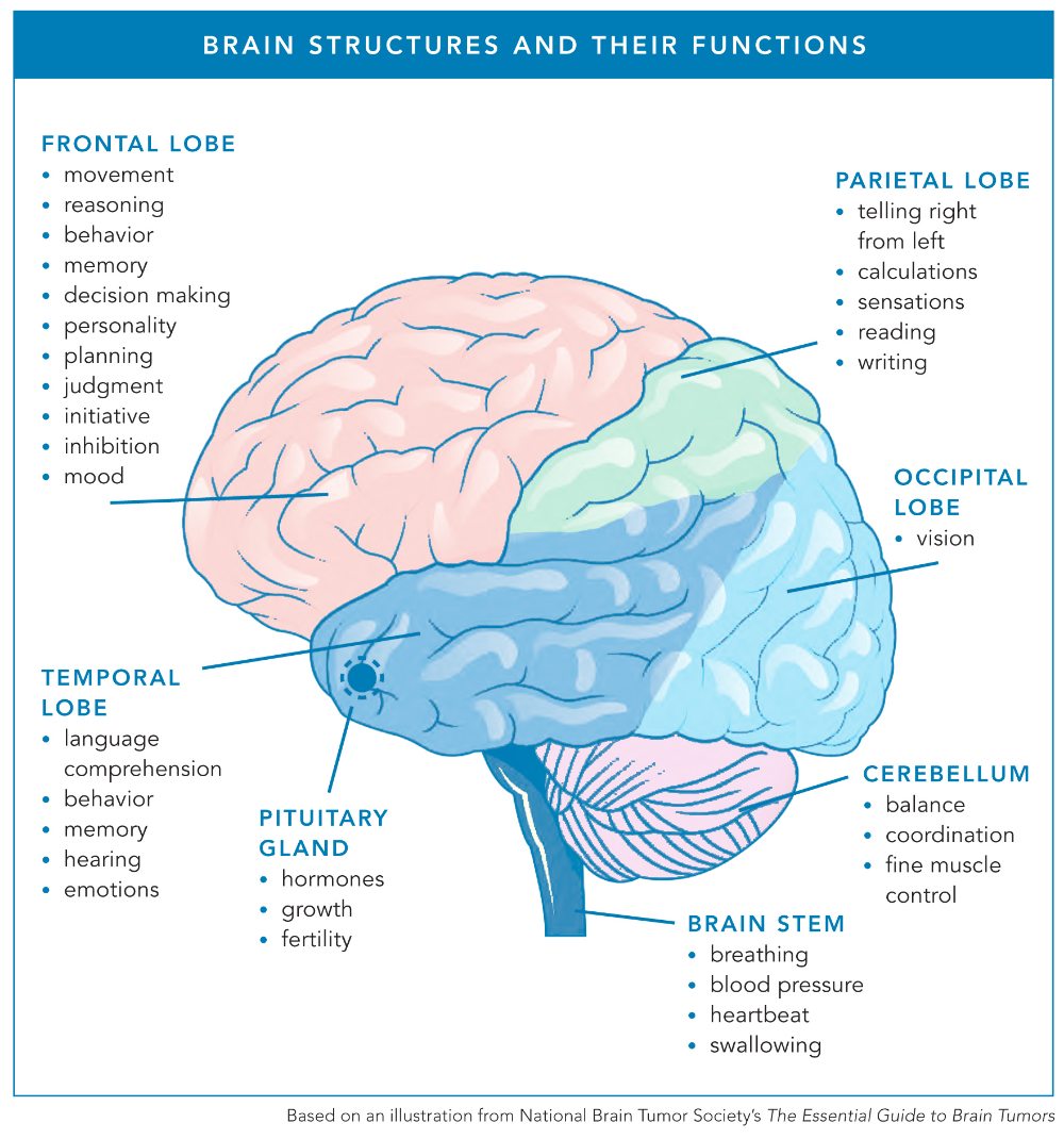 Advancing Brain Tumor Classification With Convolutional Neural Networks