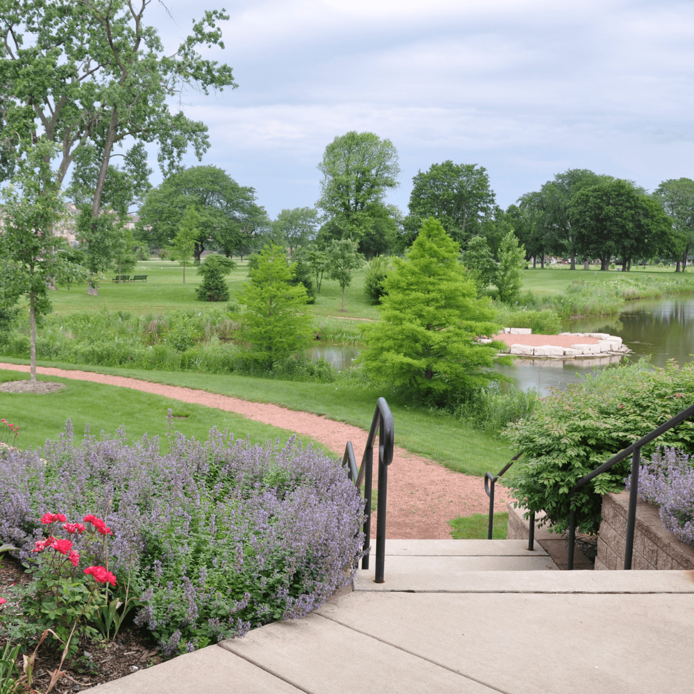 Family Fun Awaits at Techny Prairie Park and Fields in Northbrook, IL ...