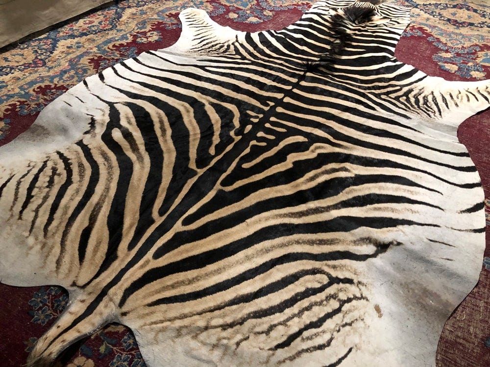 Exotic Elegance: The Allure of Zebra Hide Rugs | by Adnankhanwhizweb ...