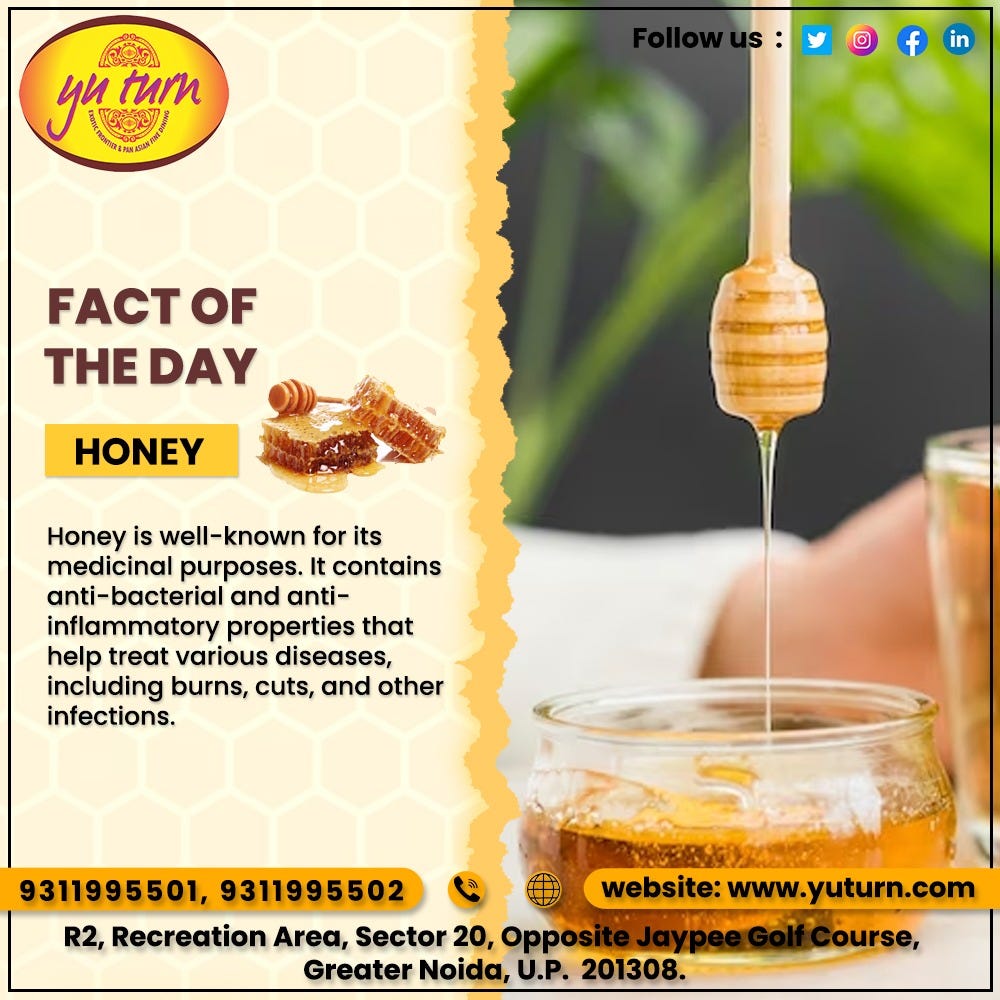The fact of the Day Honey - Yuturn Restaurant - Medium