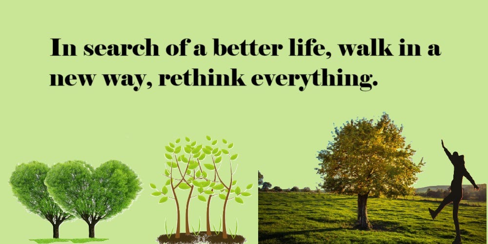 In Search Of A Better Life. Everyone may want to find a beautiful… | by ...