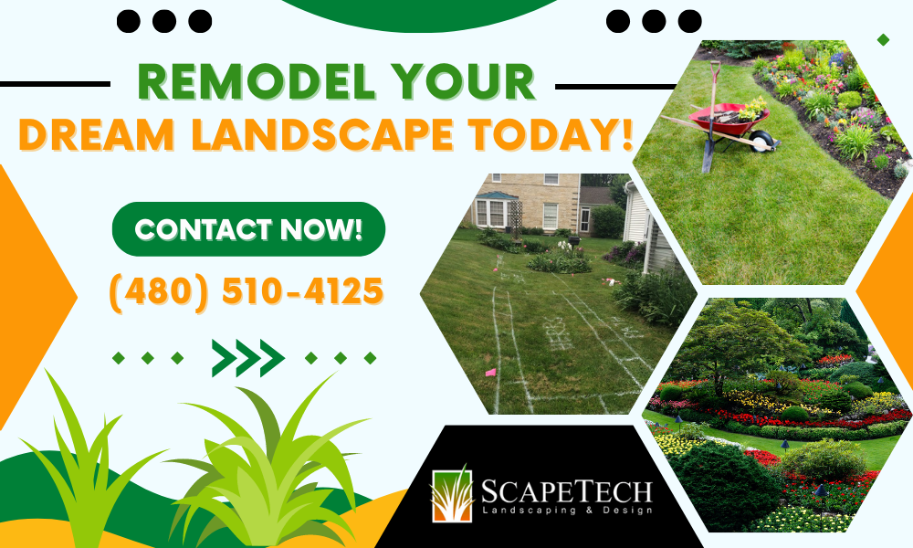 Get Highly Skilled Landscape Remodelling Experts! - Scape Tech ...