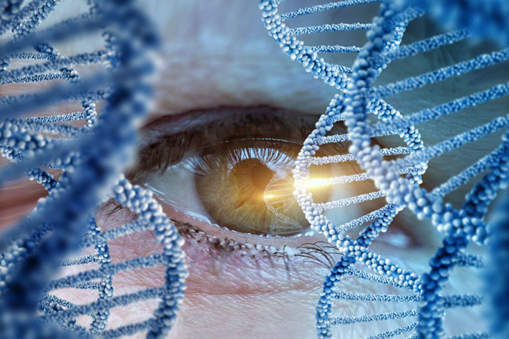Using the genetics of addiction to improve treatment | by Mira Edorra ...