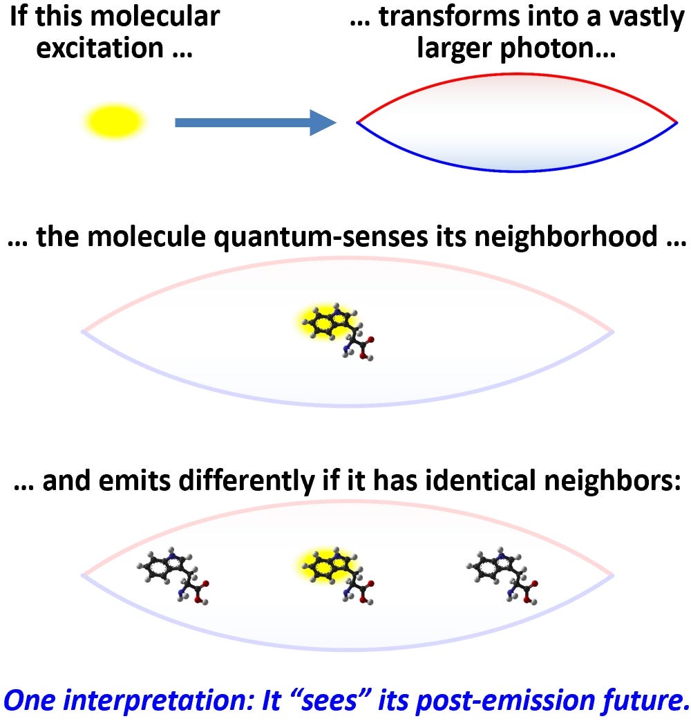New Results Bolster Penrose’s Quantum Consciousness Hypothesis | by ...