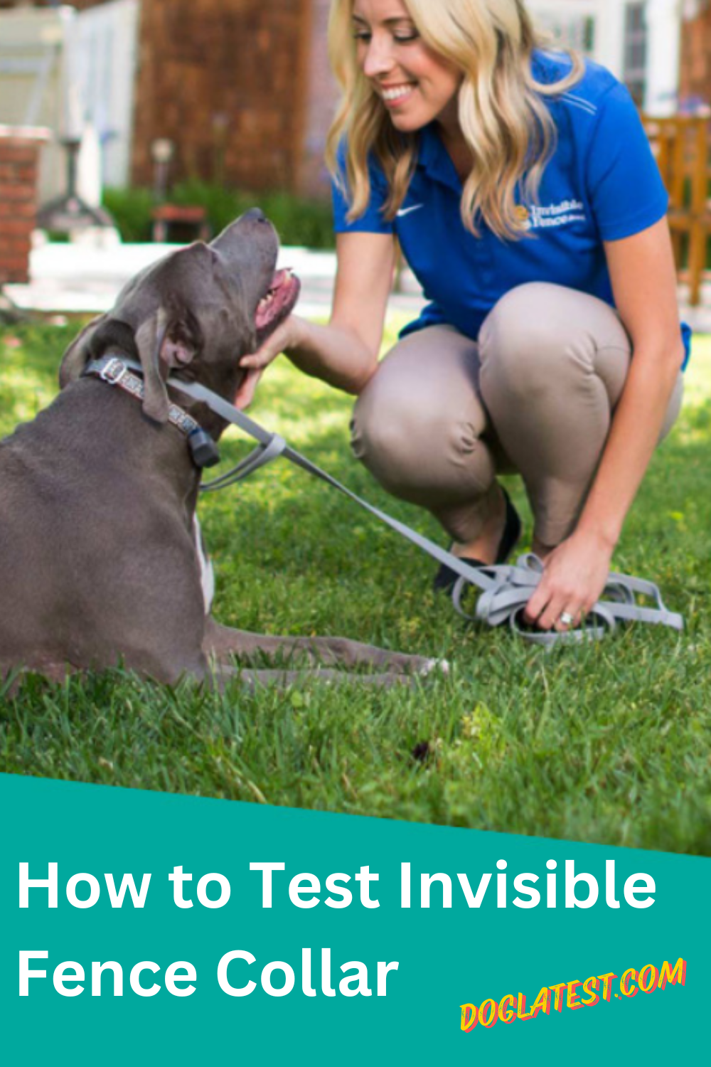 How to Test Invisible Fence Collar 2024 — Dog Latest Guide | by Dog ...