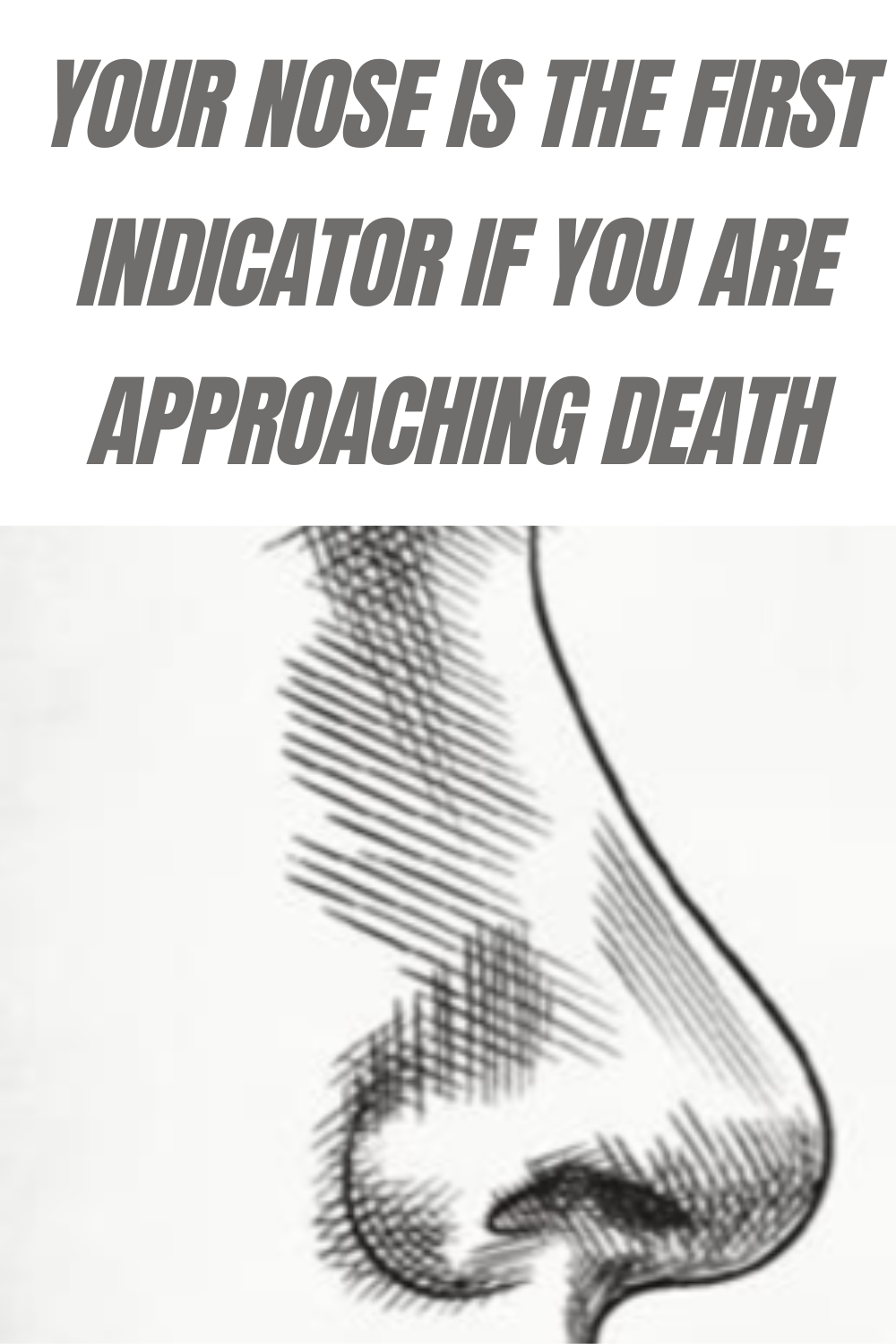 YOUR NOSE IS THE FIRST INDICATOR IF YOU ARE APPROACHING DEATH - Paula ...