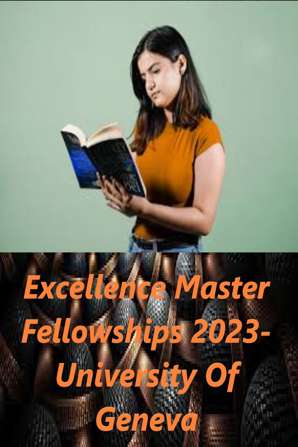 Excellence Master Fellowships 2023-University Of Geneva - Anni Mulro - Medium