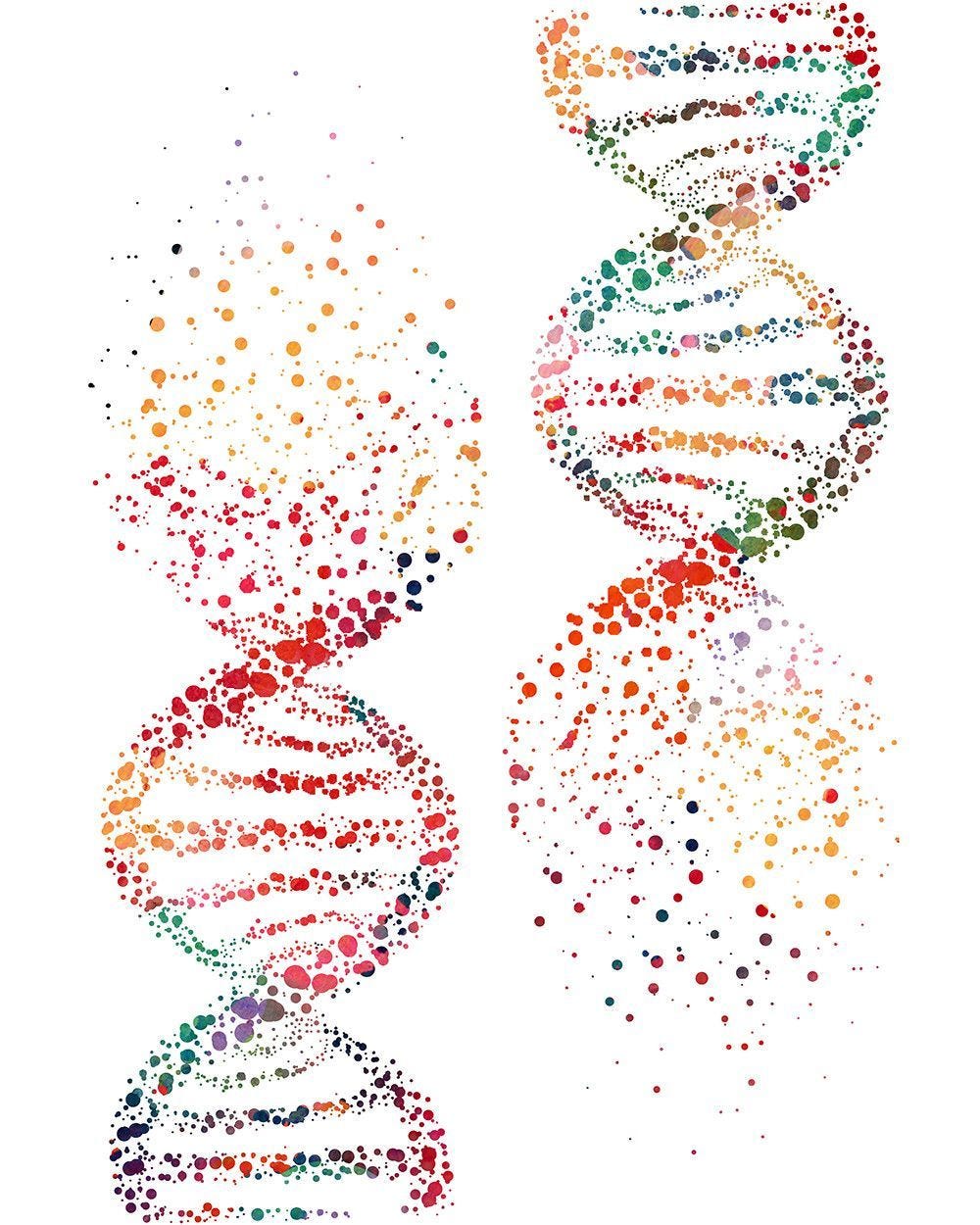 A DNA Biobank..?. Have you ever wondered what people… | by Nina Khera ...