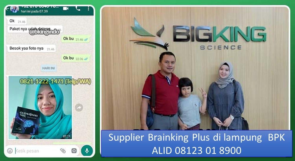 PROMOSI, 08123 01 8900 (Bpk. Alid), Produsen Brainking plus di lampung | by brainking plus ...
