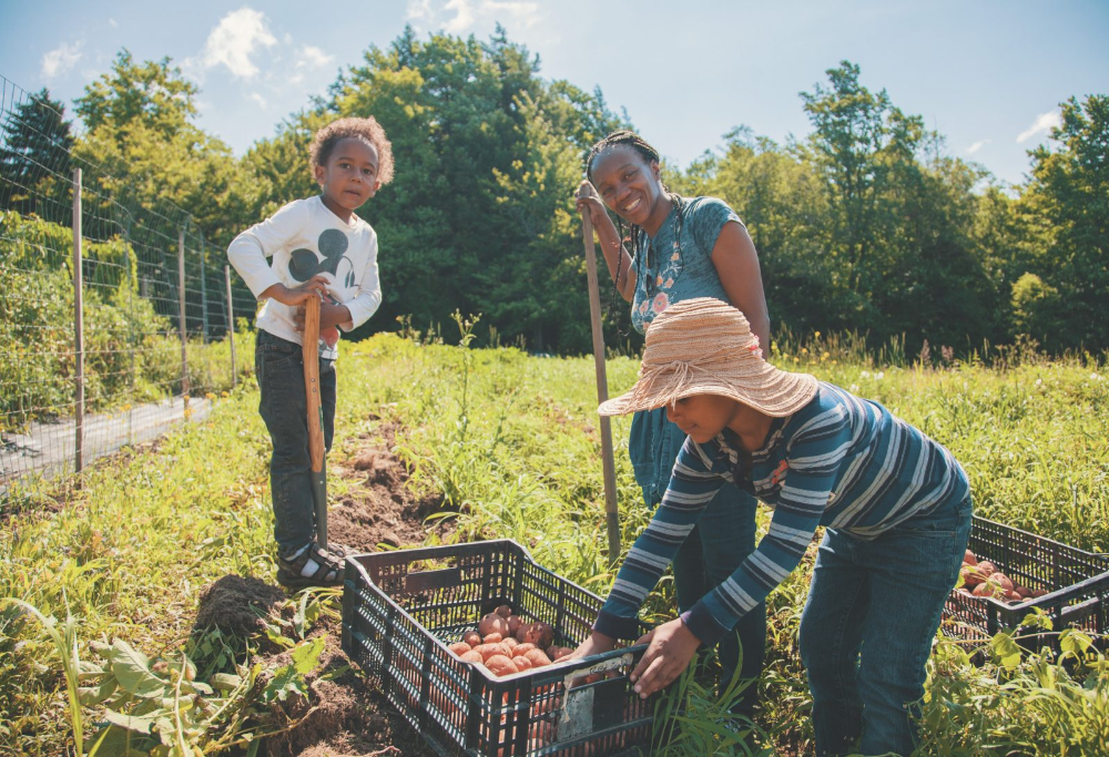 Food Sovereignty, Food security and health | by ghia bsat | Medium