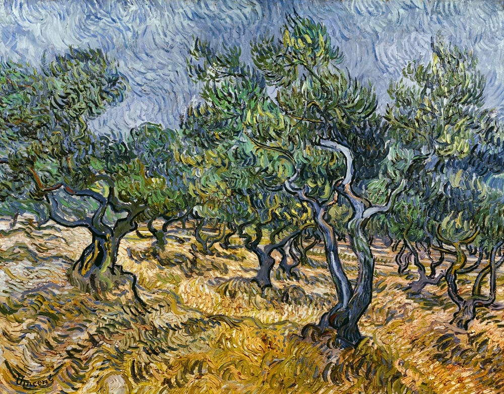 Finding today’s olive groves. Over 2000 years ago, humanity started ...