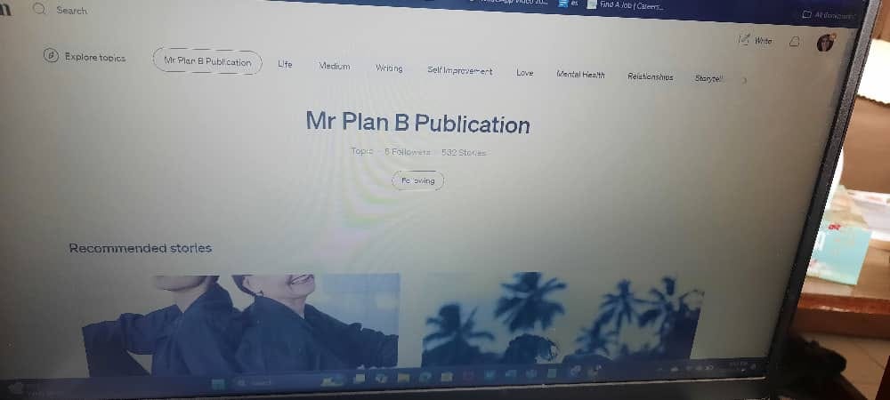 Will the real Mr. Plan B stand up? - Mr. Plan ₿ Publication - Medium
