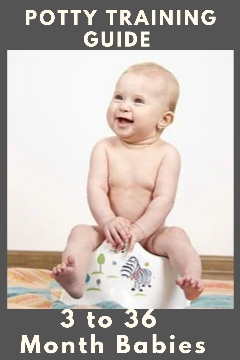 Get my Potty Training System - SOFTBABY - Medium
