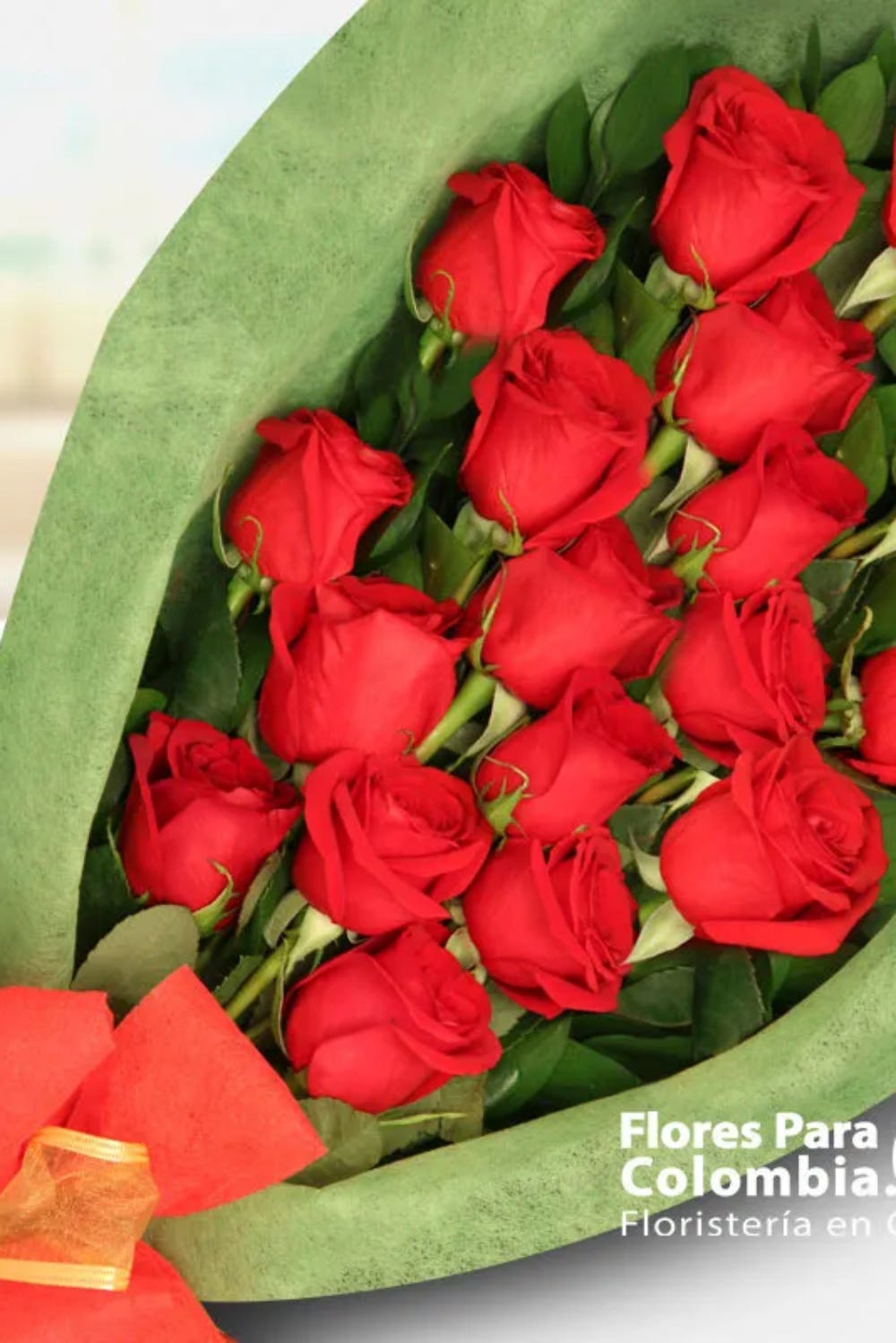 Rosas rojas - Floresparacolombia - Medium