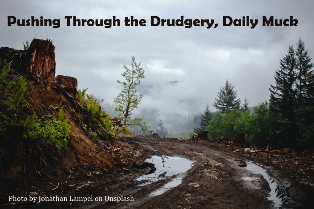 Pushing Through the Daily Stuff — The Drudgery Daily Muck | by Patricia ...